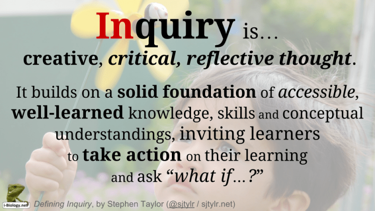 Curriculum as a Compass? – Wayfinder Learning Lab – Stephen Taylor